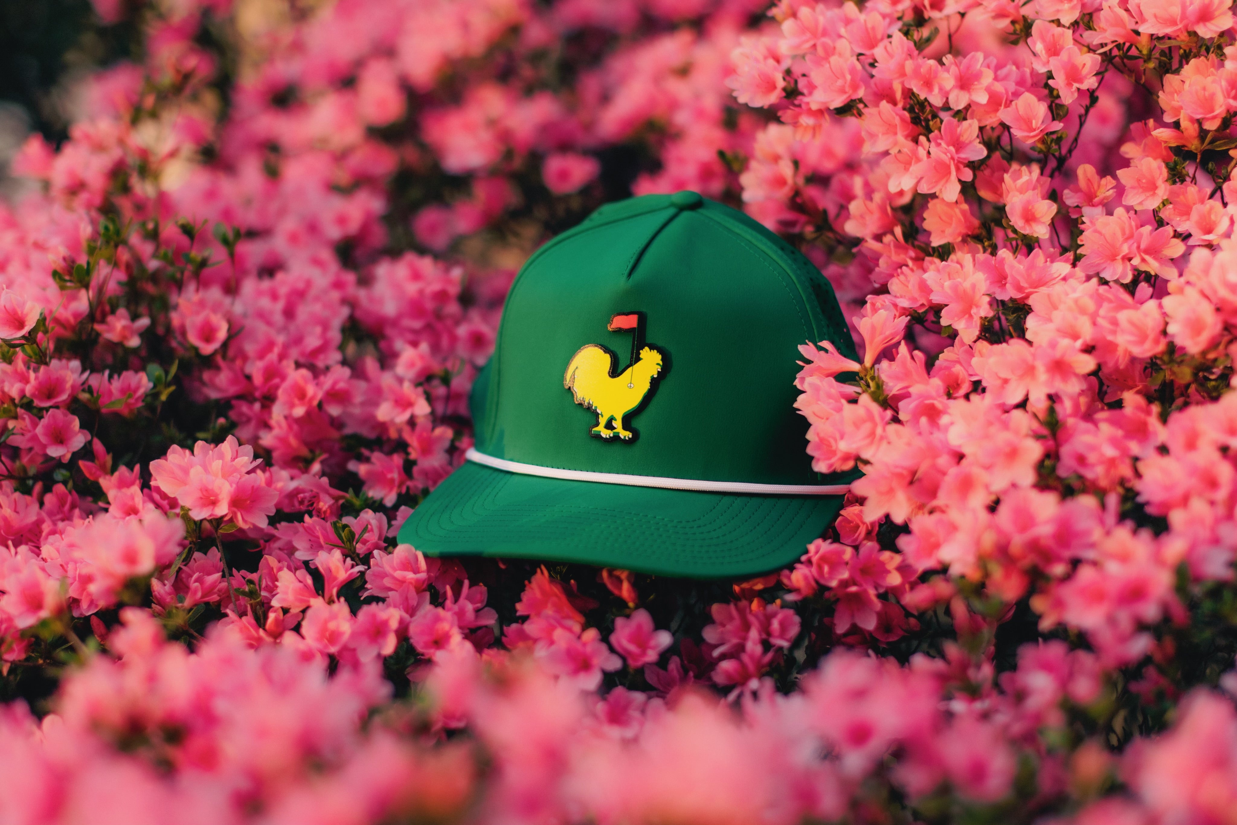 GC Supply – GC Supply Co.